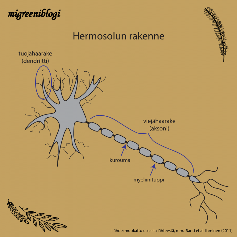 Hermosolujen viestintä - MIGREENIBLOGI
